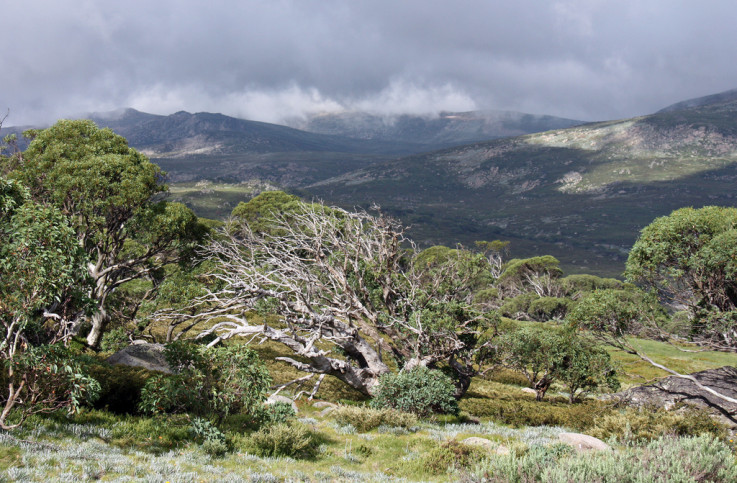 Aktivitäten im Main Range Park - Australien Blog